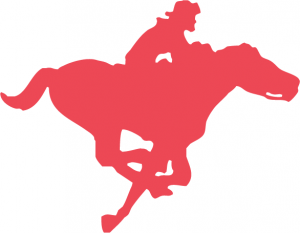 Contact – Courier and Delivery Service Pony Express Delivery Service